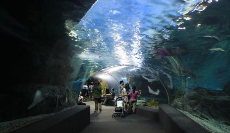 Siam Ocean World