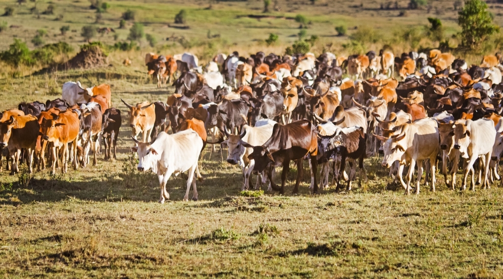 Rustenburg